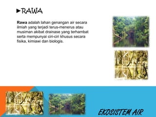 ekosistem darat dan air | PPTX