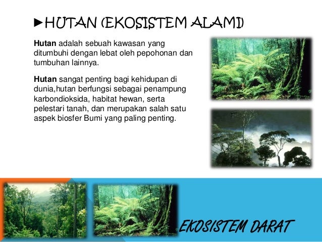 ekosistem darat dan air ekosistem darat dan air
