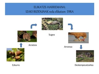 Ekosistema aurkezpena | PPTX