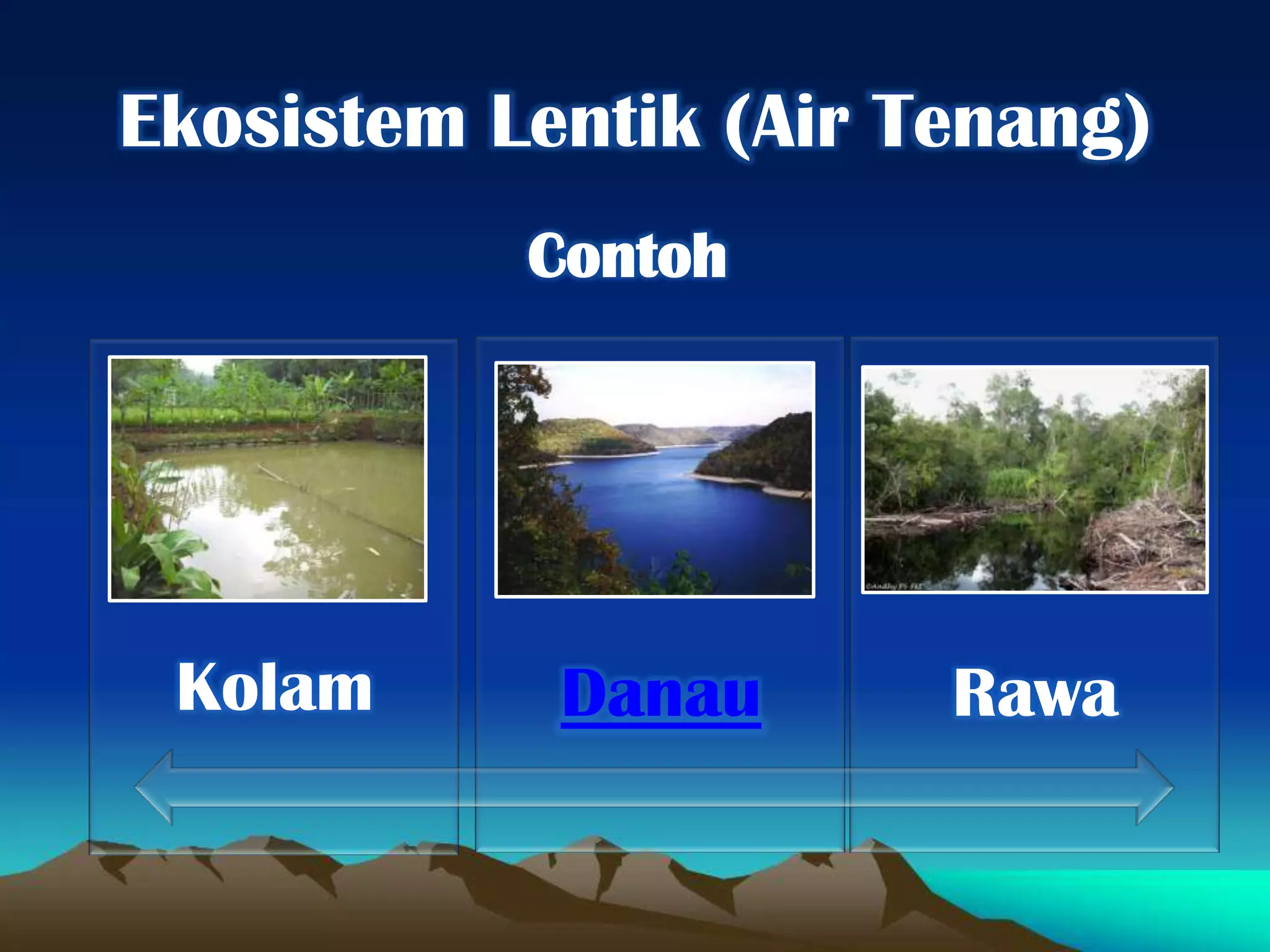 Ekosistem air tawar.ppt