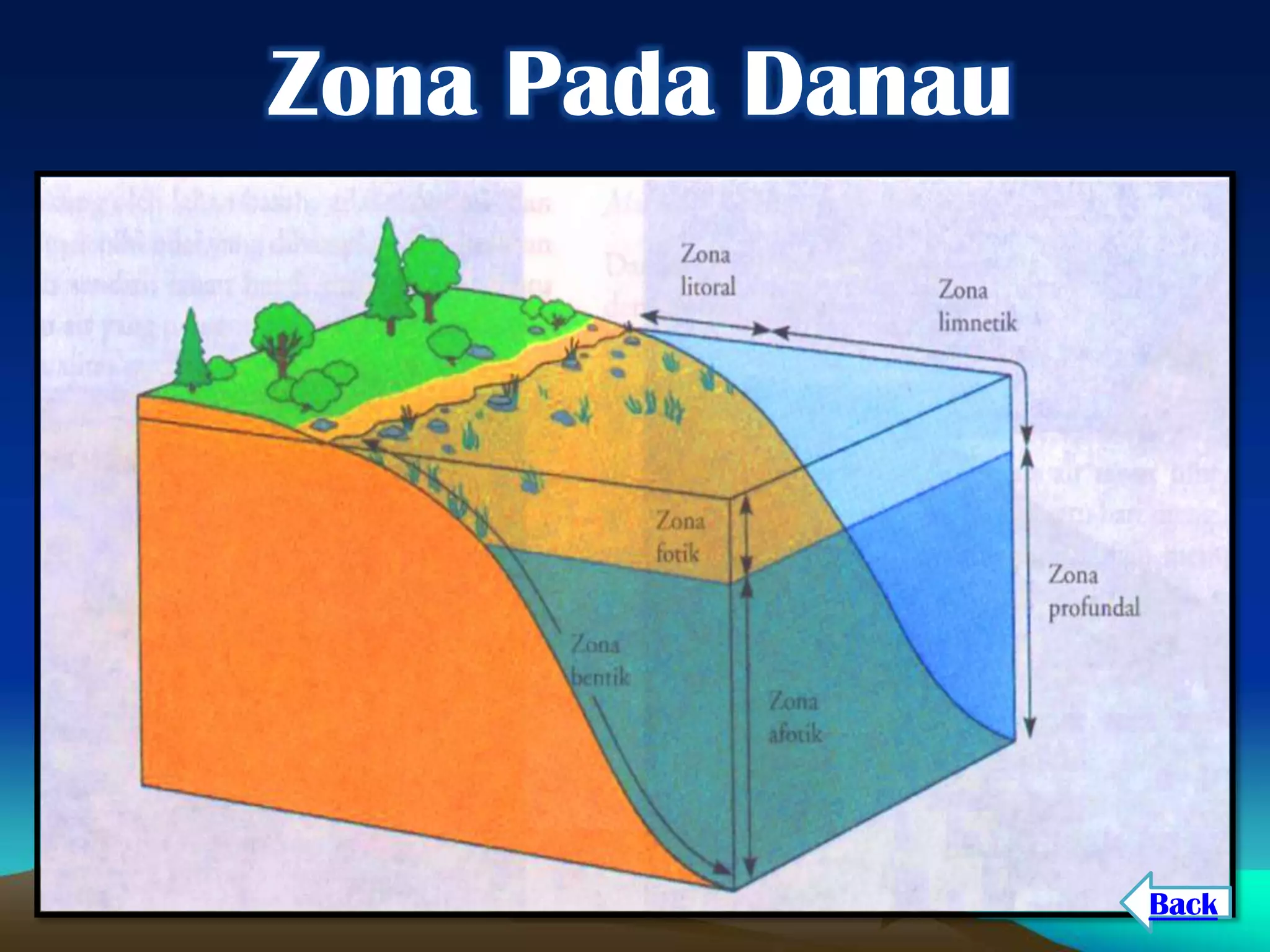 Ekosistem air tawar.ppt
