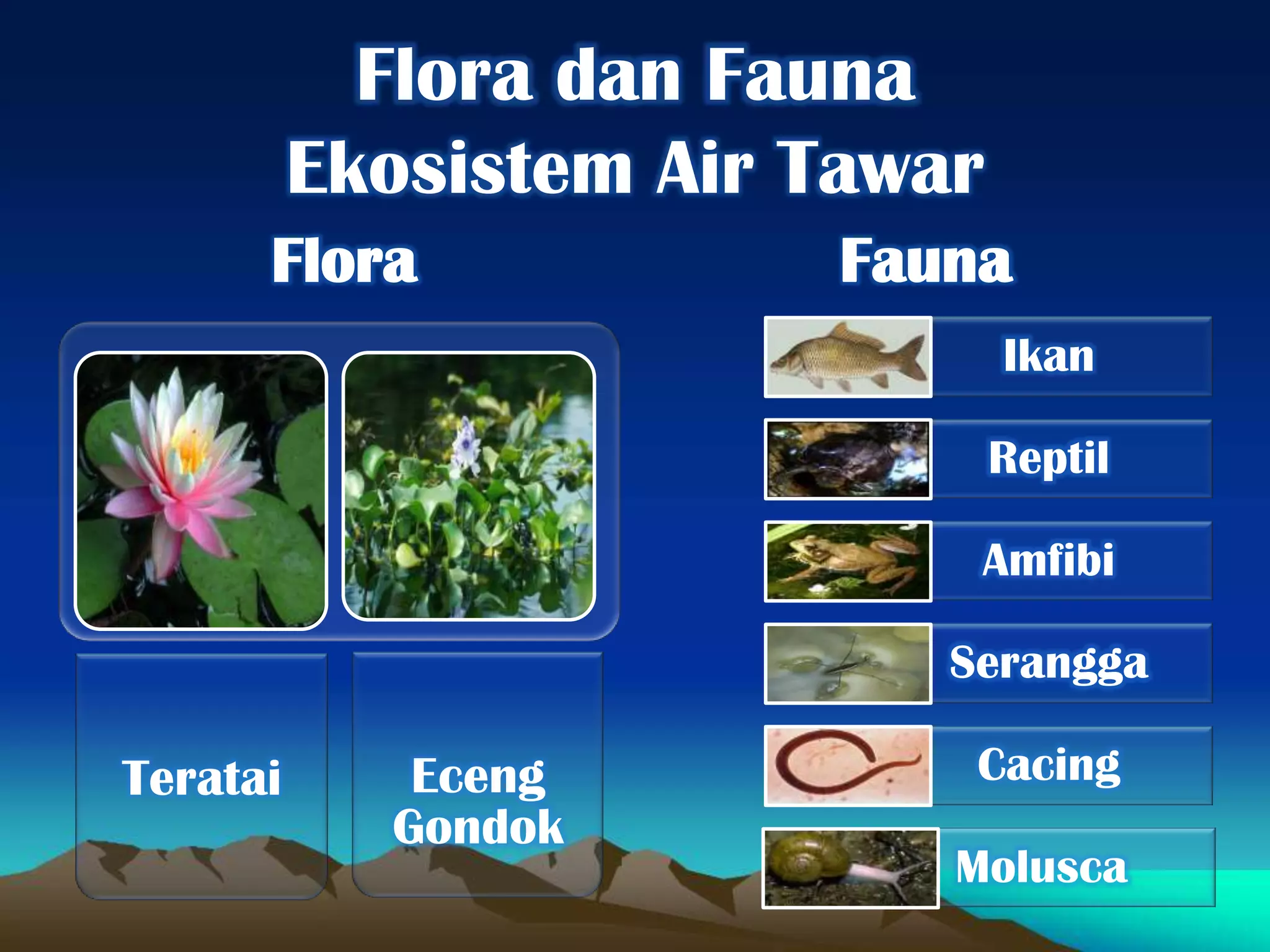 Ekosistem air tawar.ppt