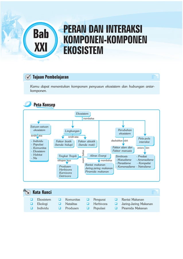 Ekosistem bag 2 | PDF