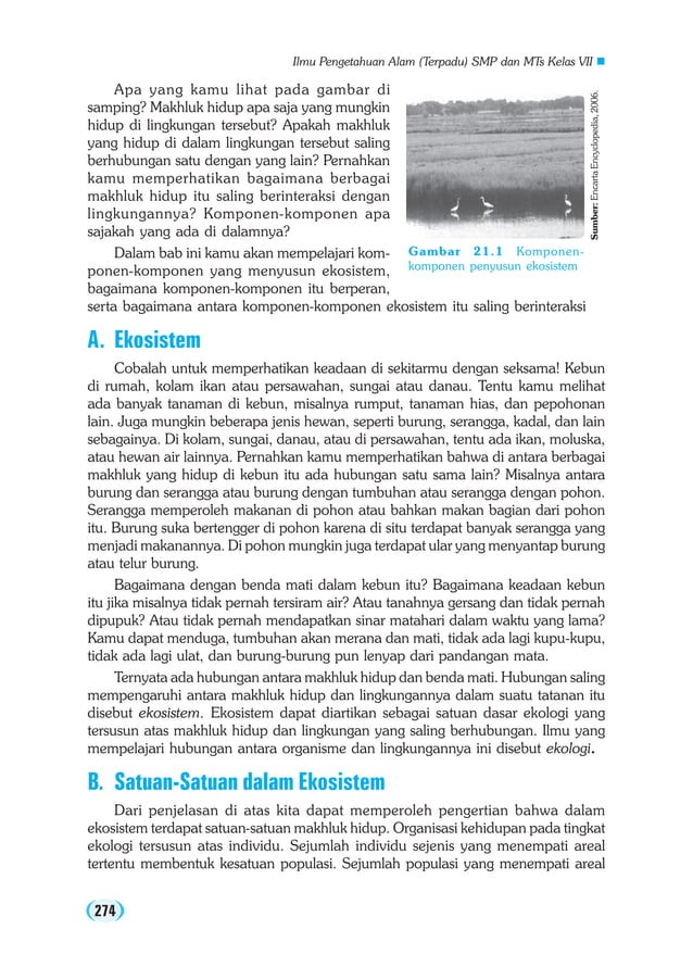 Ekosistem bag 2 | PDF