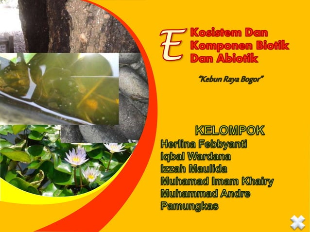 Ekosistem dan komponen biotik dan abiotik | PPTX