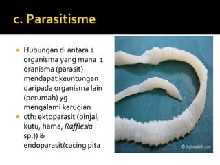 Ekosistem dinamik | PPTX