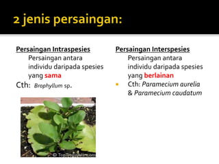 Ekosistem dinamik | PPTX