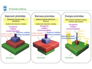 Ekosistemen egitura | PPT