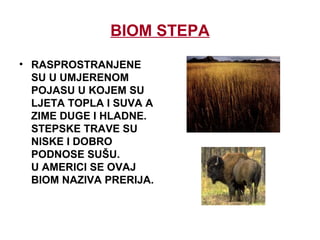 Ekosistemi se udruzuju | PPT | Geography | Science
