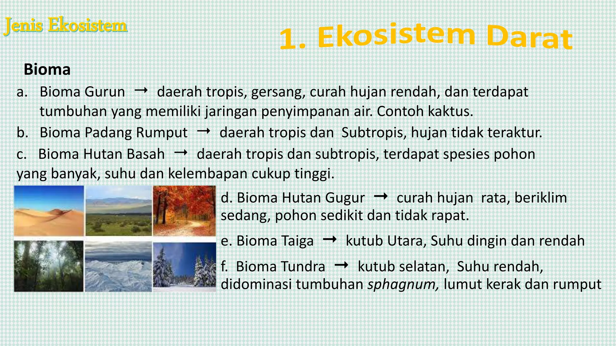Ekosistem, Suksesi Klimaks, Aliran Energi, Daur, dan Pelestarian ...