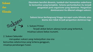 Ekosistem, Suksesi Klimaks, Aliran Energi, Daur, dan Pelestarian ...
