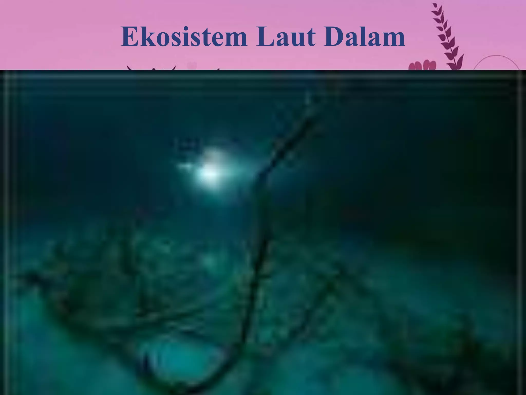 Ekosistem laut Power Point | PPTX