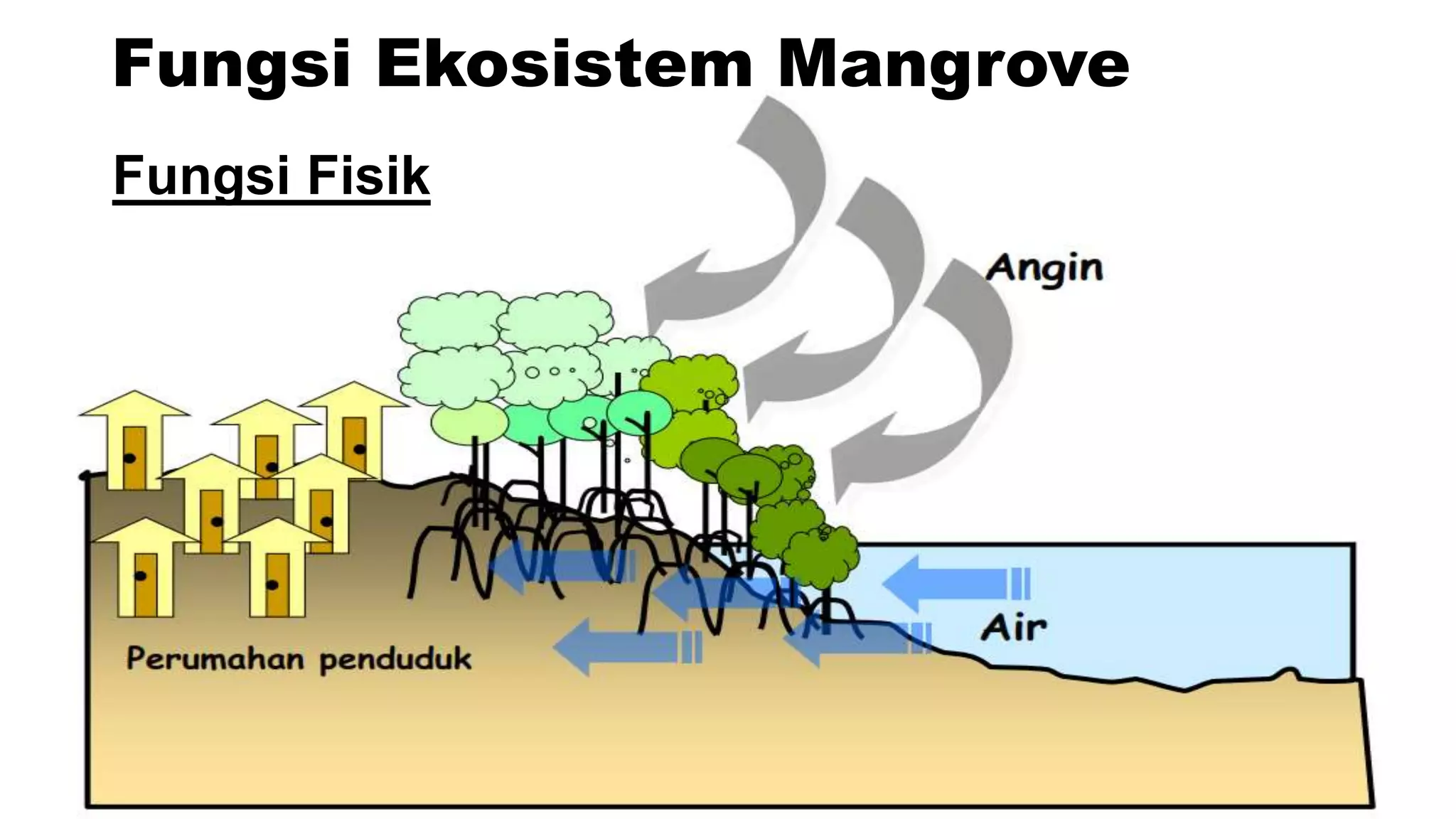 Ekosistem Mangrove.pptx