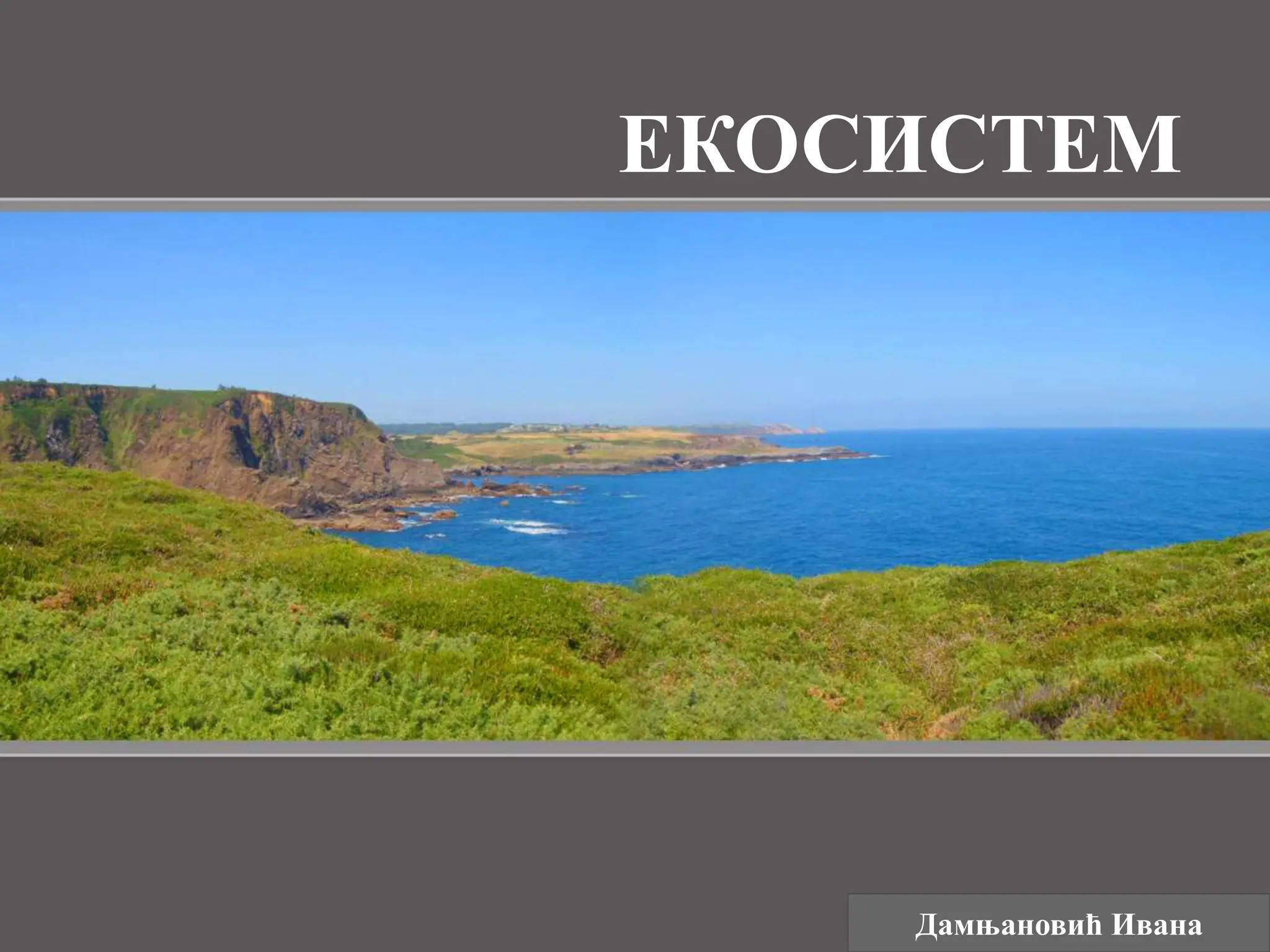 An ecosystem includes all the living things (plants, animals and ...