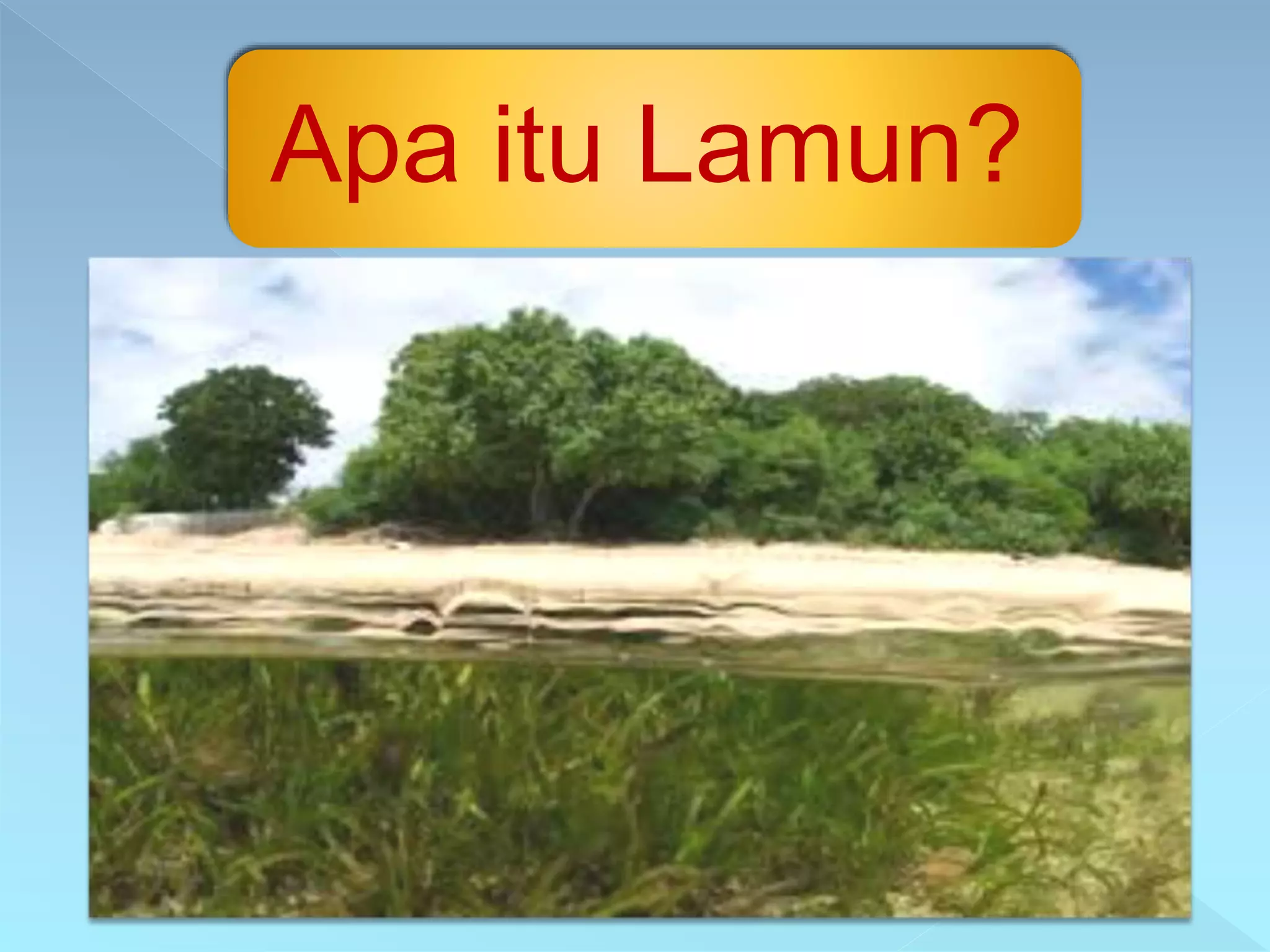 Ekosistem padang lamun | PPTX