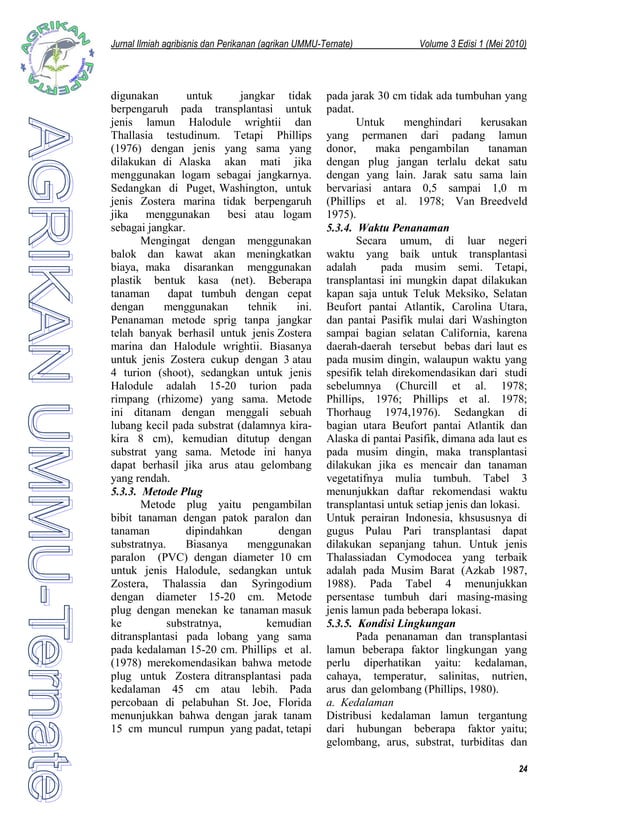 Ekosistem_padang_lamun_Manfaat_Fungsi_dan_Rehabili.pdf