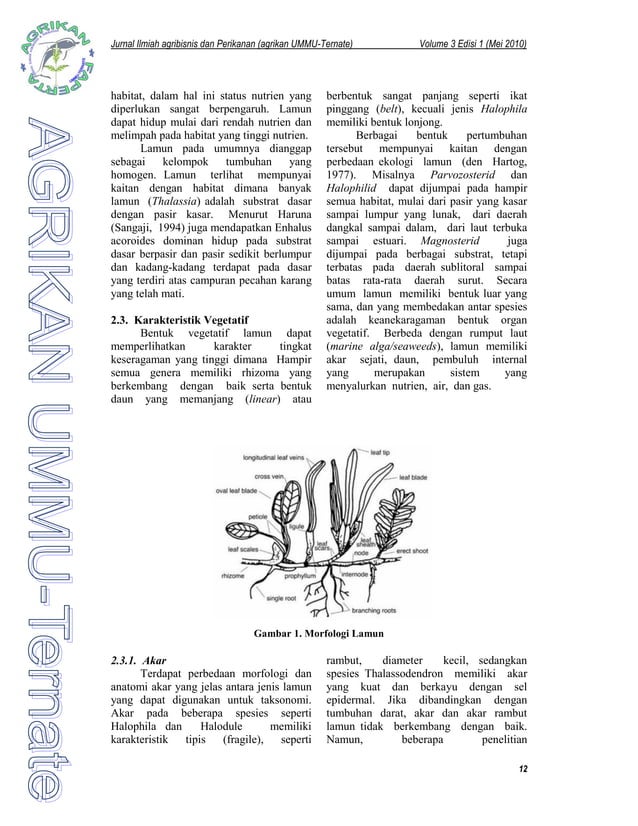 Ekosistem_padang_lamun_Manfaat_Fungsi_dan_Rehabili.pdf