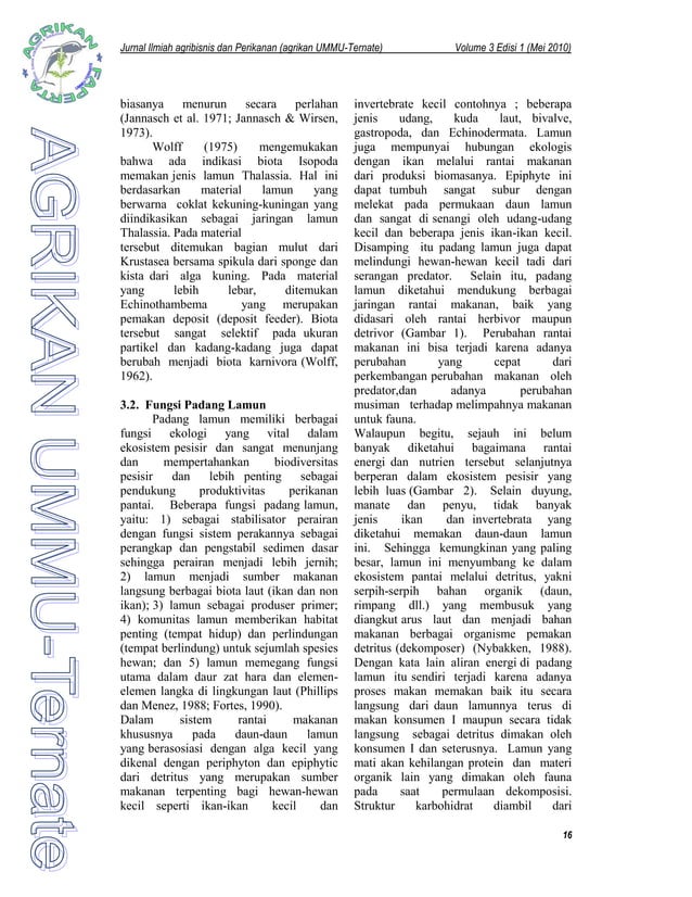 Ekosistem_padang_lamun_Manfaat_Fungsi_dan_Rehabili.pdf