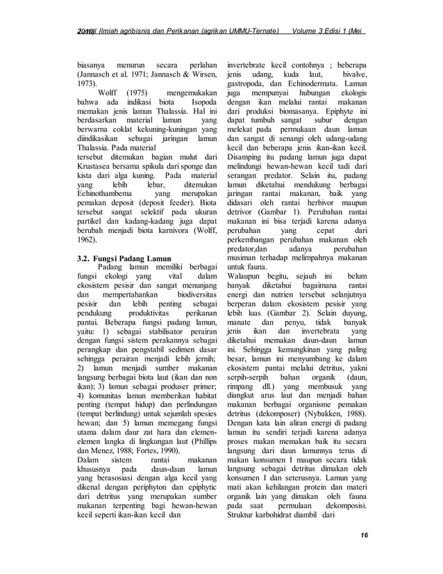 Ekosistem_padang_lamun_Manfaat_Fungsi_dan_Rehabili-converted (3).docx