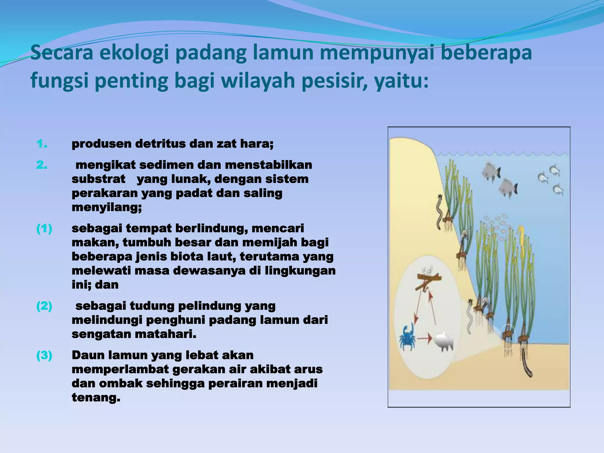 Ekosistem perairan | PPTX