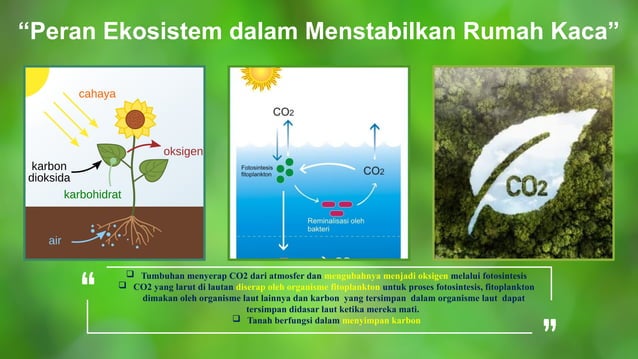 Powor point tentang ekosistem lengkapp dengan gambar | PPT