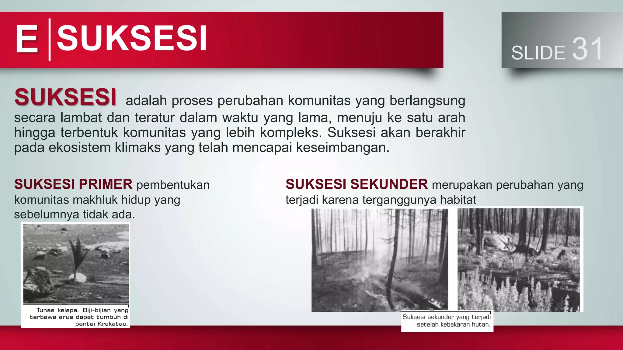 Ekosistem_pptx.pptx