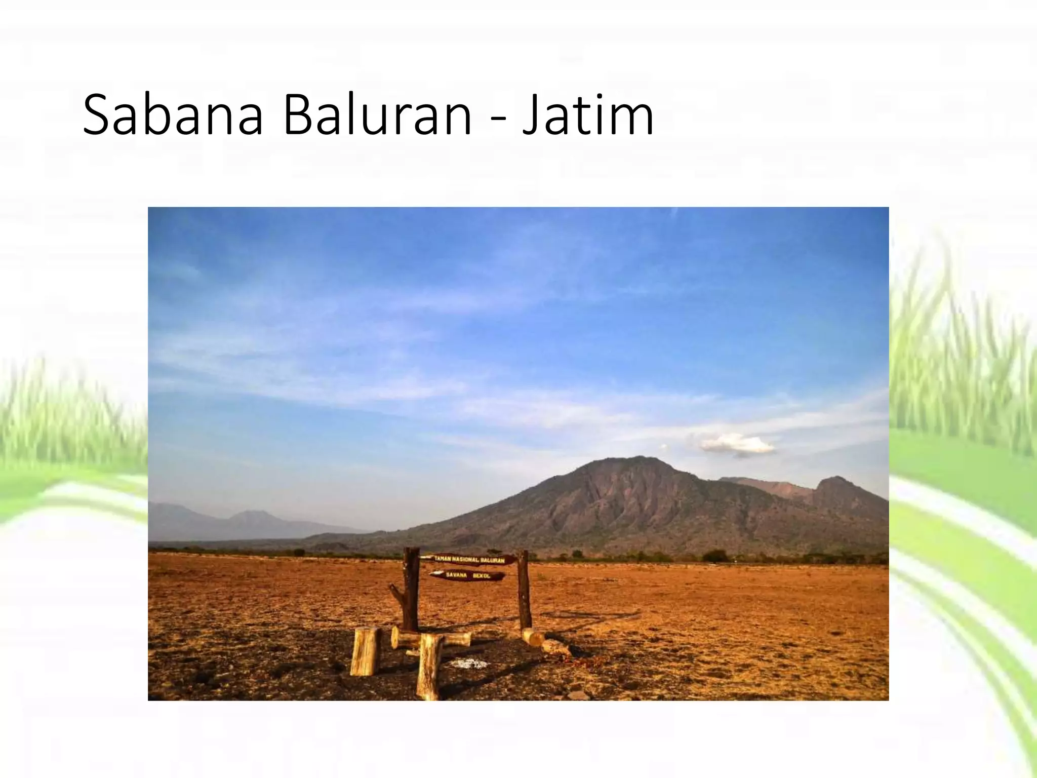 Ekosistem Sabana | PPTX