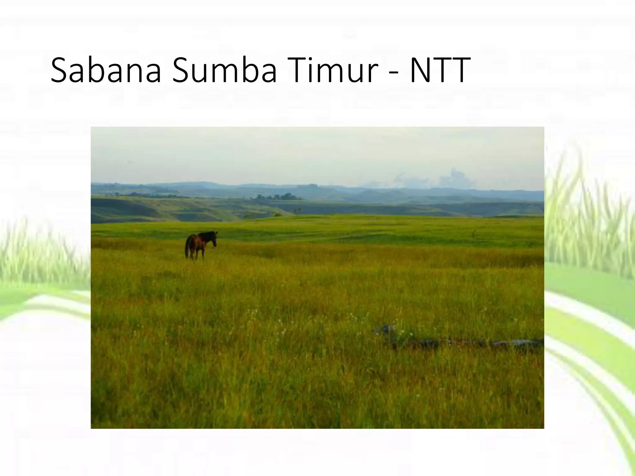 Ekosistem Sabana | PPTX