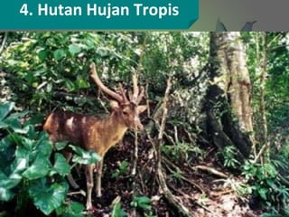 Ekosistem, Keanekaragaman Ekosistem, Penggolongan Ekosistem | PPT