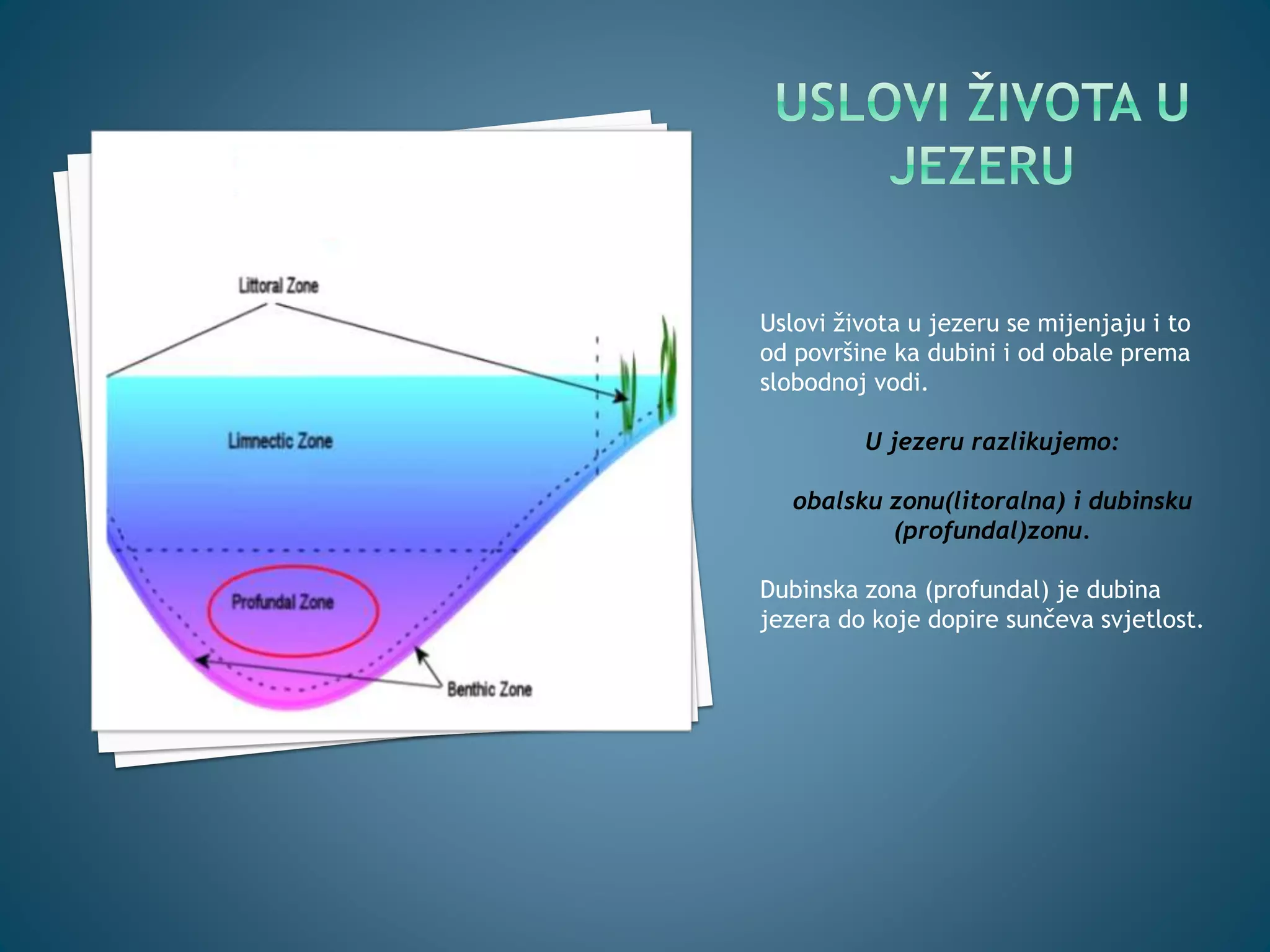 Ekosistem stajacih voda | PPTX