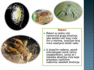 Ekosistem stajacih voda | PPTX