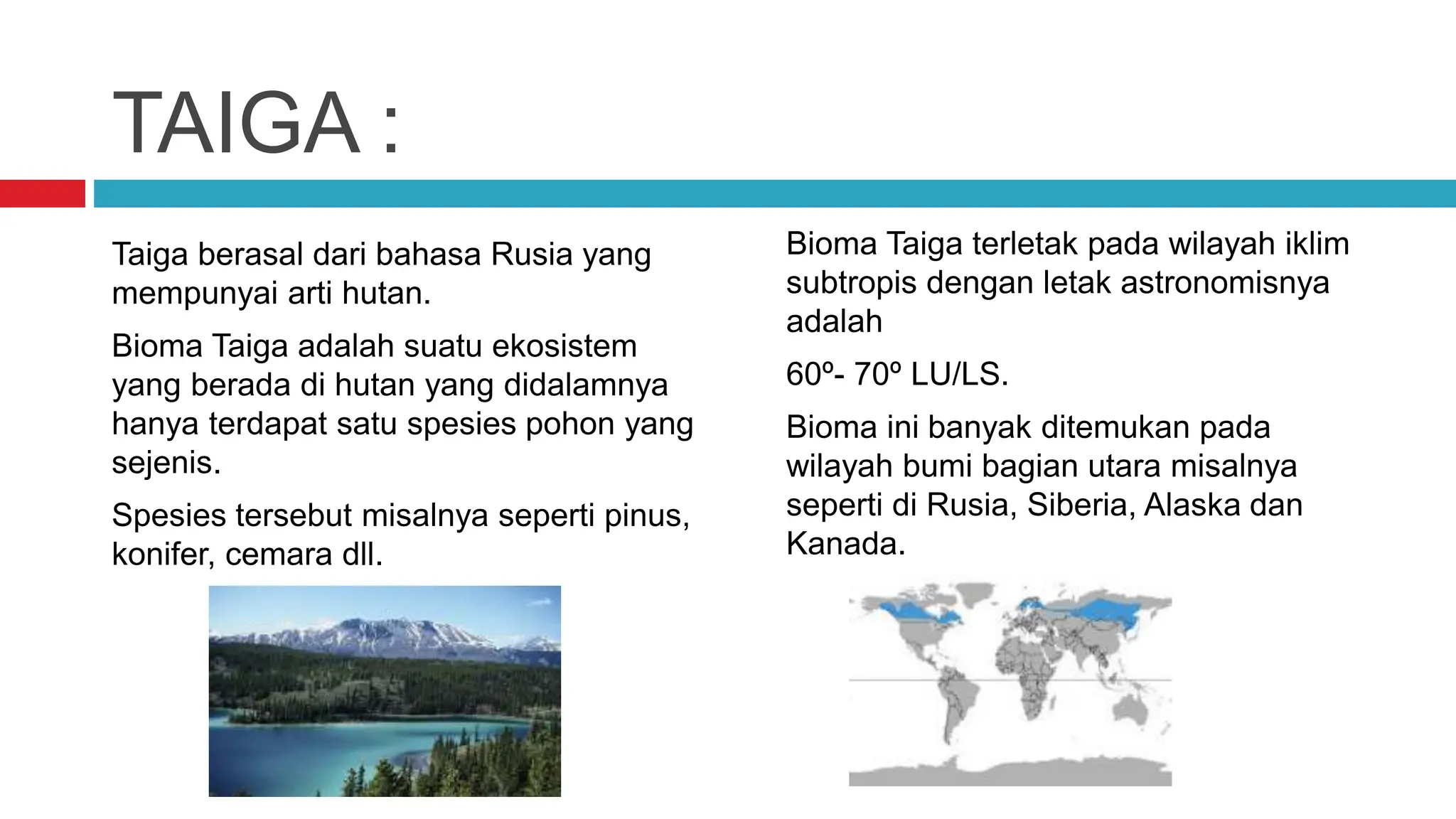 EKOSISTEM TAIGA EKOSISTEM TAIGA EKOSISTEM TAIGA | PPTX