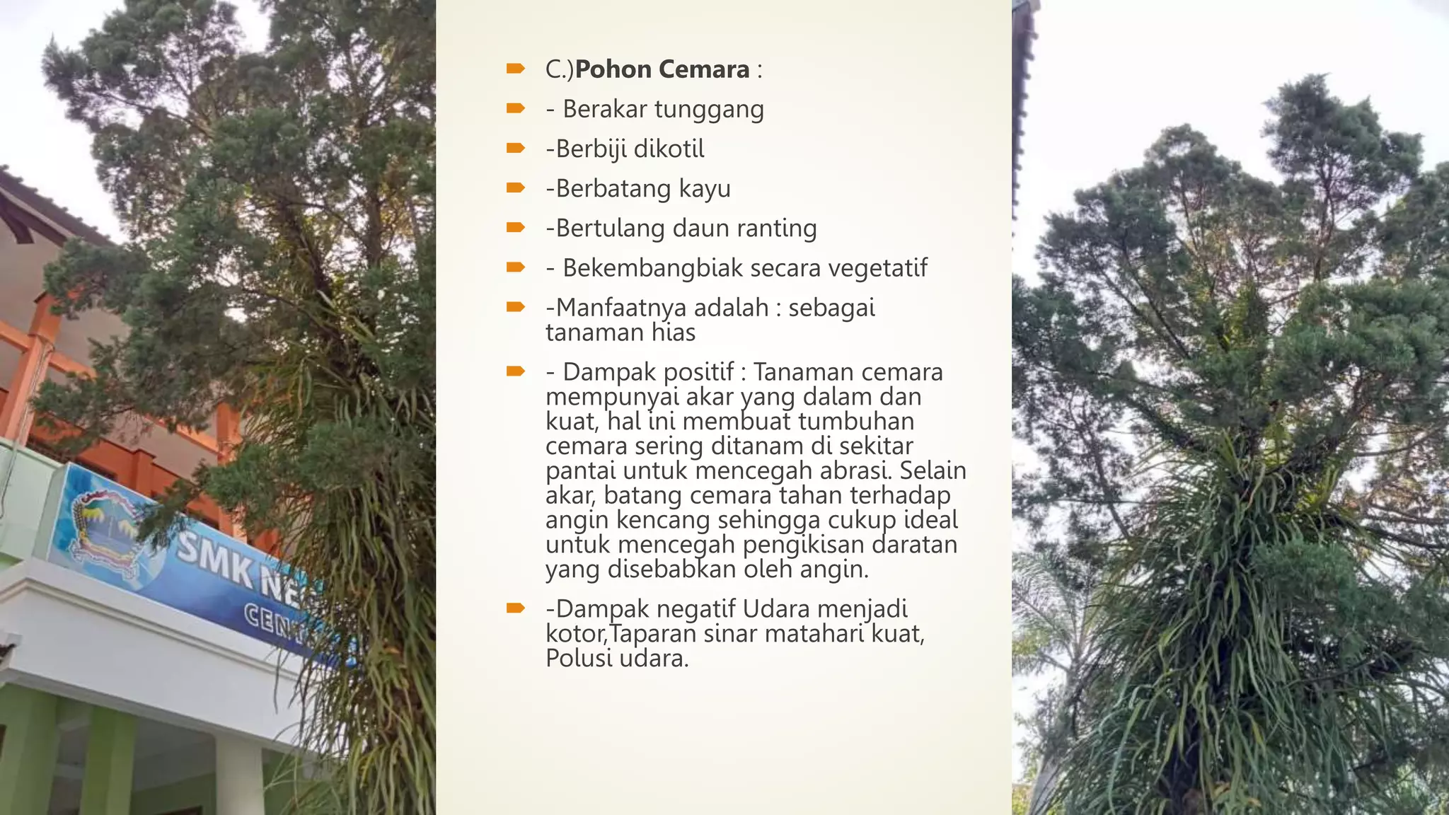 Ekosistem Taman Sekolah Kelompok.pptx