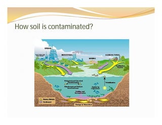 Electrokinetic Remediation of Heavy Metal contaminated soil | PDF