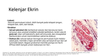 Ekrin dan apokrin anatomi dan fisiologi.pptx