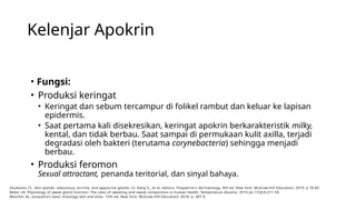 Ekrin dan apokrin anatomi dan fisiologi.pptx