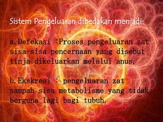 Ekskresi | PPTX