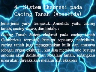 Ekskresi | PPTX