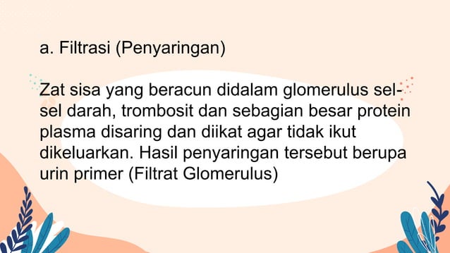 EKSKRESI BAB 10 .pptx