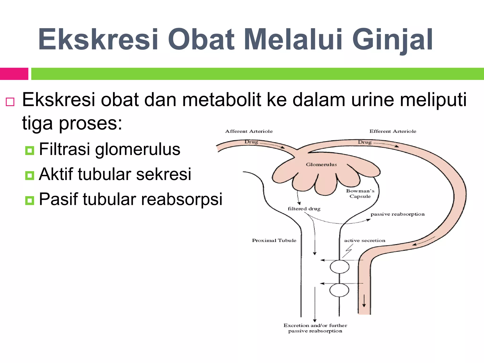 Ekskresi dan klirens ginjal | PPTX