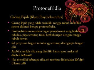 Ekskresi hewan akuatik & terestrial | PPT