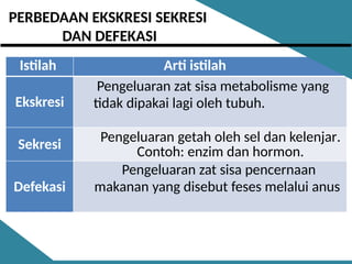 PPT Biologi Sistem Ekskresi Pada Manusia | PPTX