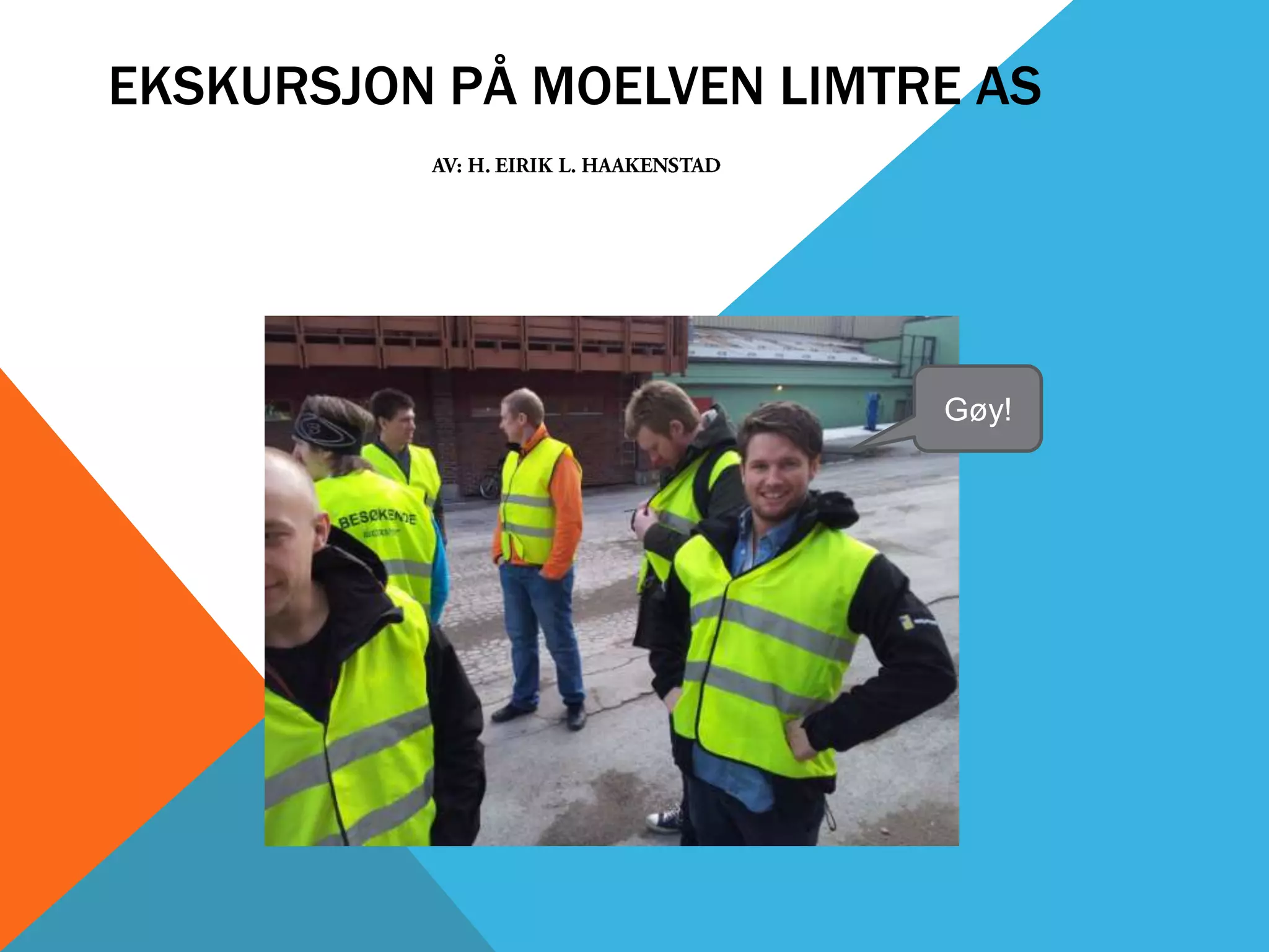 Ekskursjon på moelven limtre as | PPT