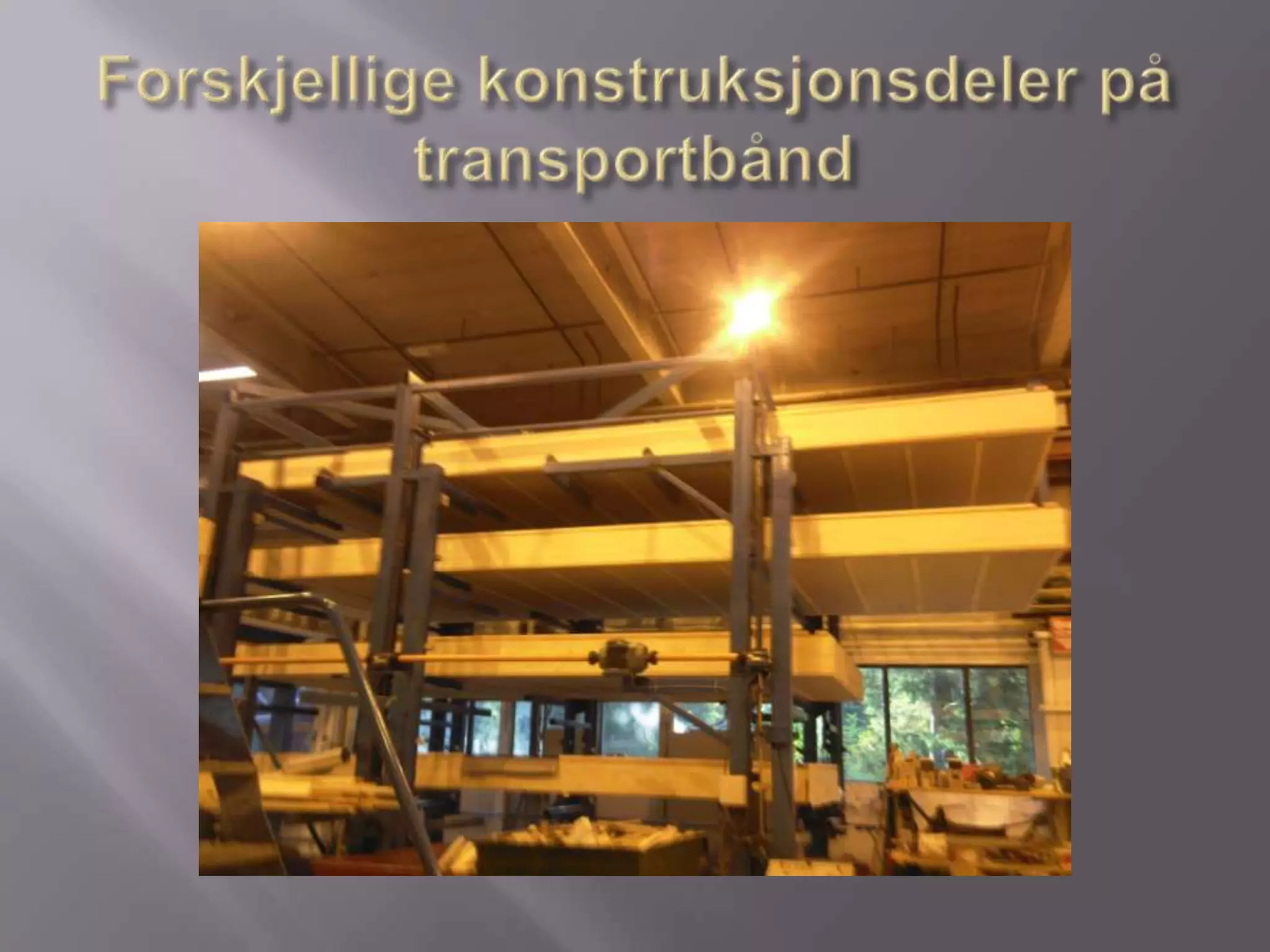 Ekskursjon På Moelven Moduler