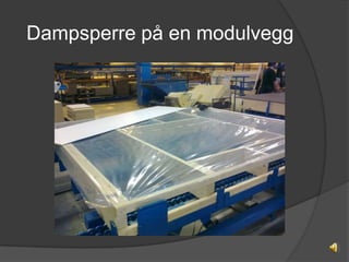 Ekskursjon Til Moelven Byggmodul As | PPTX