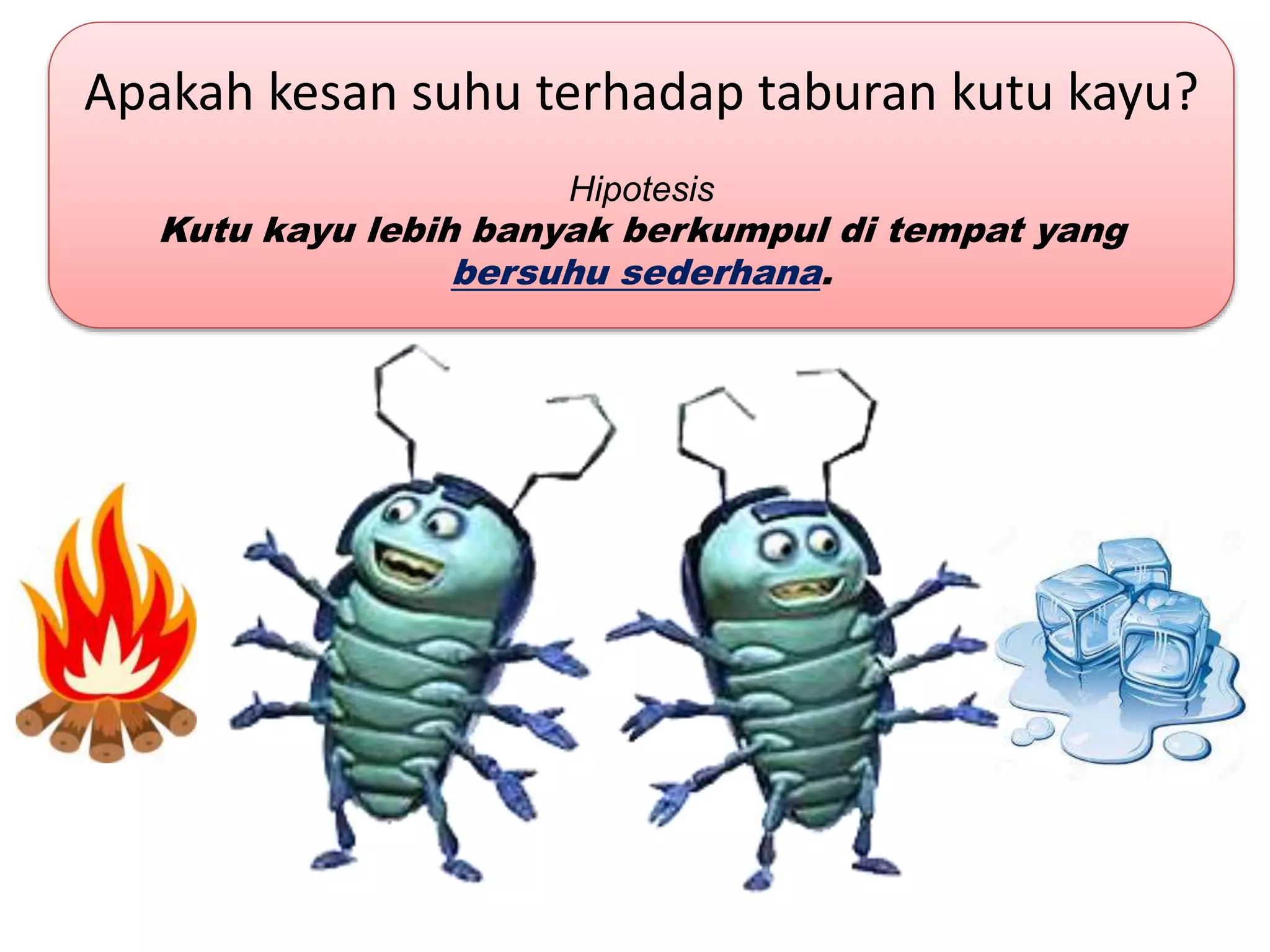 Tingkatan 2 Bab 2 Faktor yang mempengaruhi taburan organisma (Eksp Kutu ...