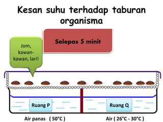 Tingkatan 2 Bab 2 Faktor yang mempengaruhi taburan organisma (Eksp Kutu ...