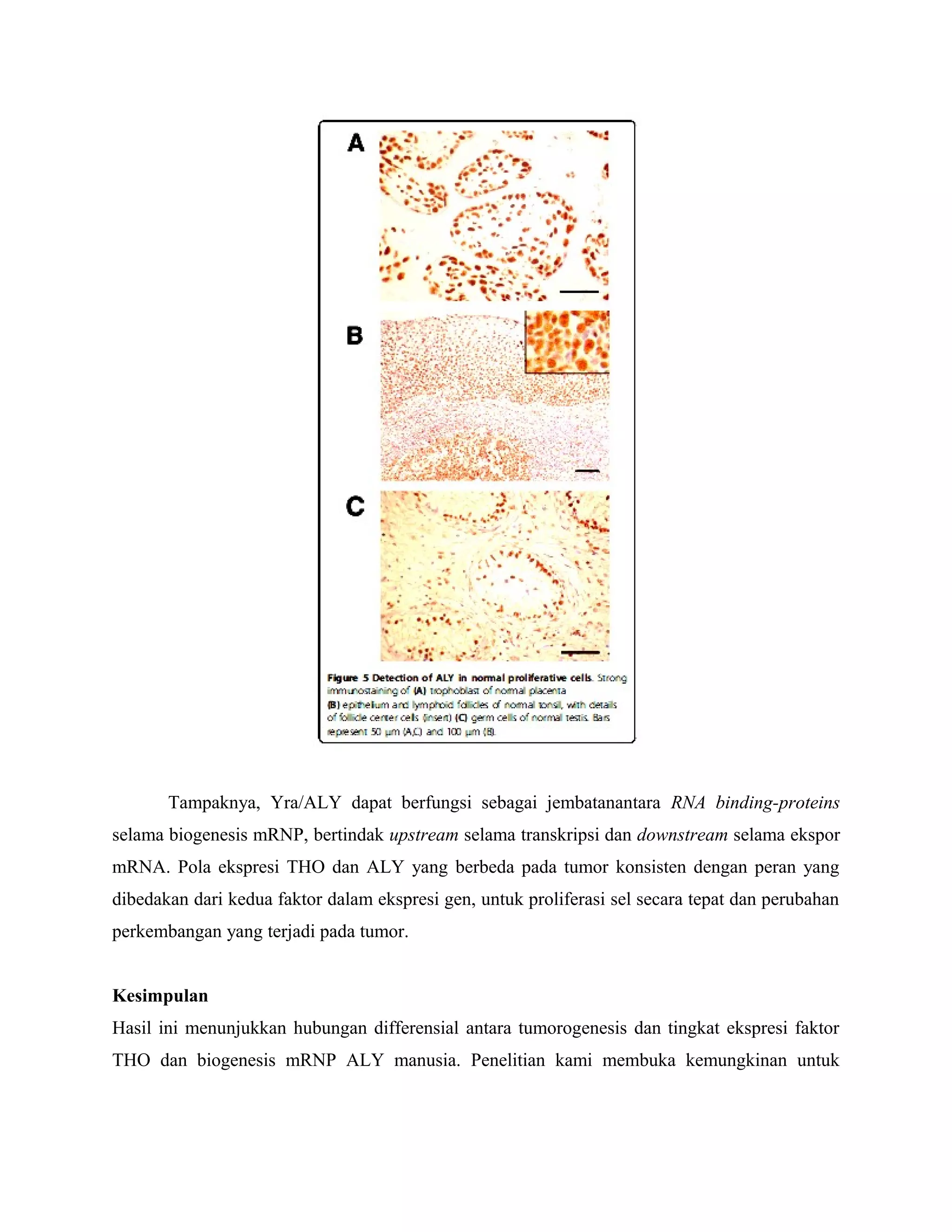 Ekspresi differensial biogenesis 12 | PDF