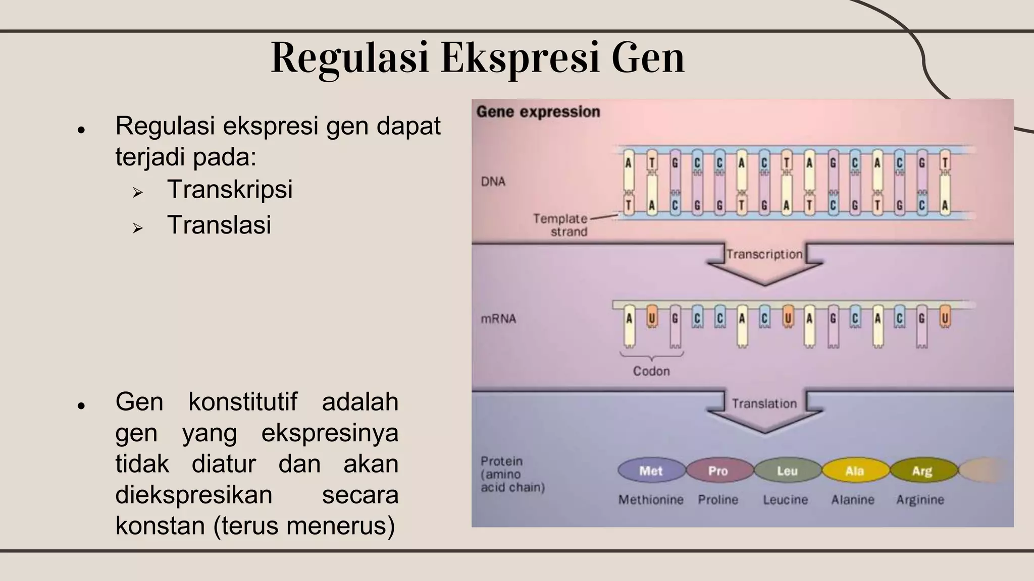 Ekspresi Gen Pada Sel Prokariotik (1).pptx