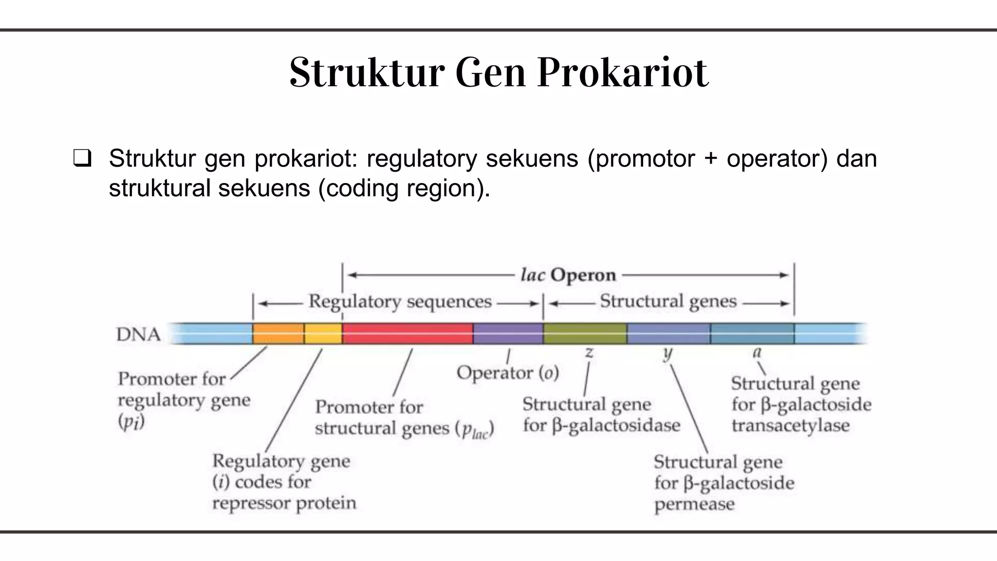 Ekspresi Gen Pada Sel Prokariotik (1).pptx